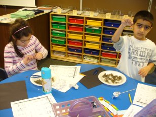 Our 3rd Grade Family