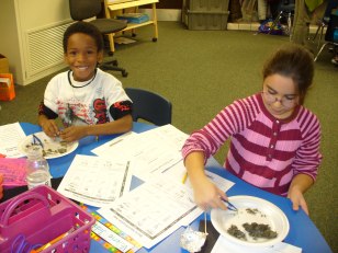 Our 3rd Grade Family