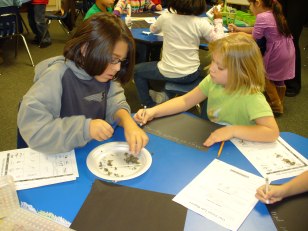 Our 3rd Grade Family