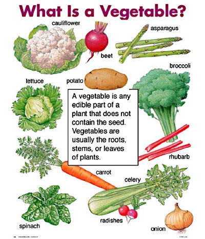 Ms. Miller's Nutrition/Health Page