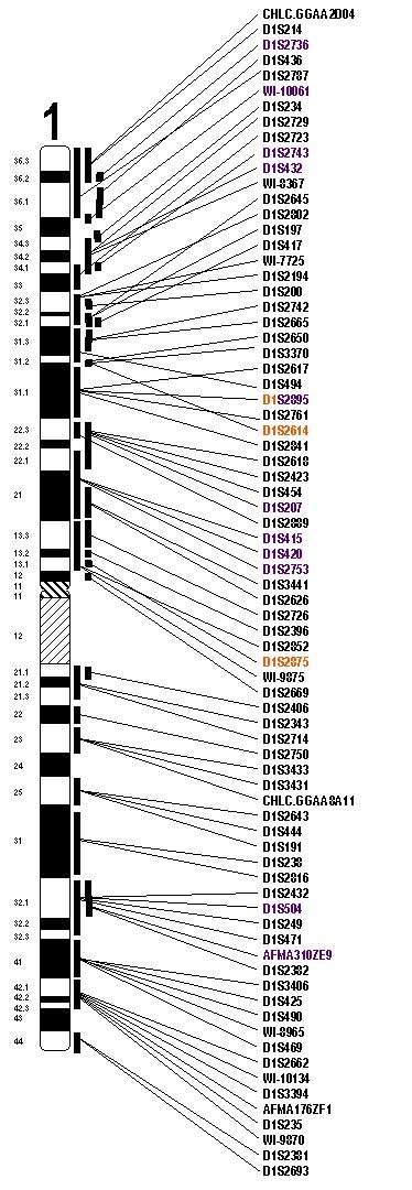 Hutchinson-Gilford Progeria Syndrome (Hgps)