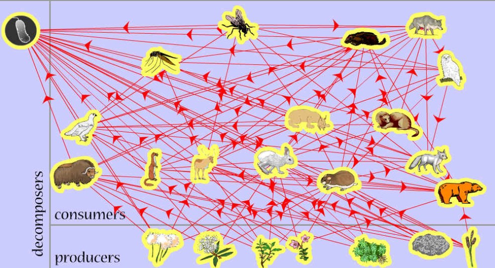Arctic National Wildlife Reserve