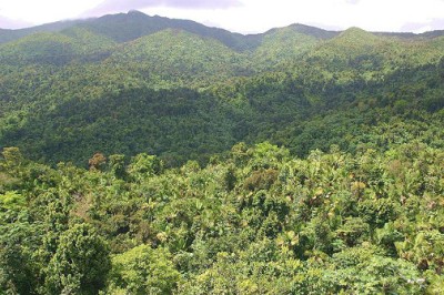El Yunque National Park