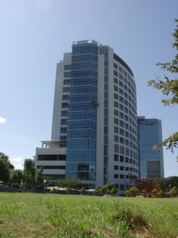 The Paragon
