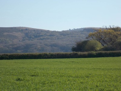 Moorhouse Campsite - camping and caravanning on the Quantock Hills