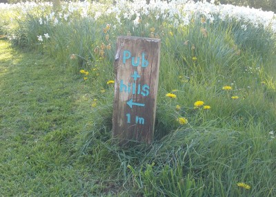 Moorhouse Campsite - camping and caravanning on the Quantock Hills