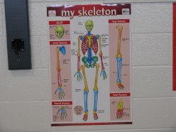 Physical Education with Mr. Priebe!